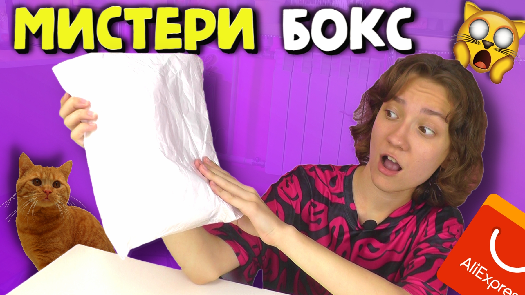 Классный Mystery Box с AliExpress для животных / Мистери бокс для животных
