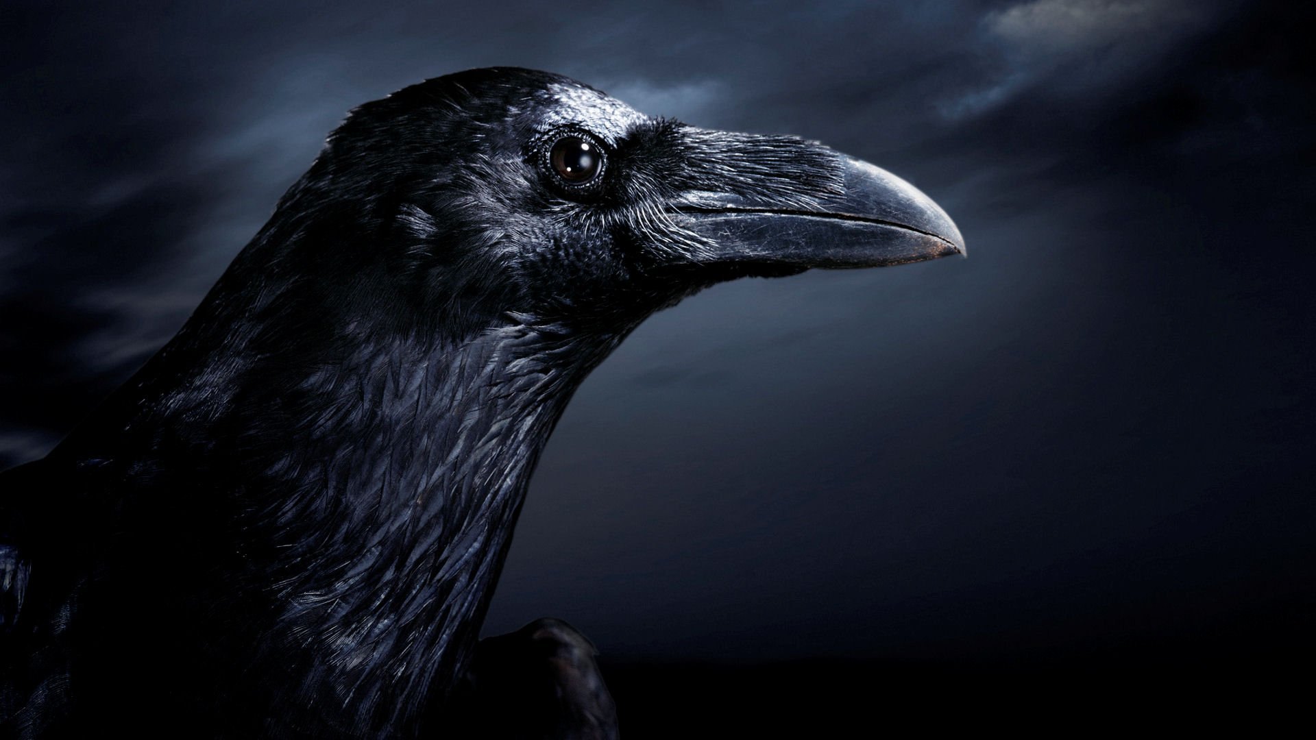 Эдгар Аллан По - Ворон (The Raven).mp4