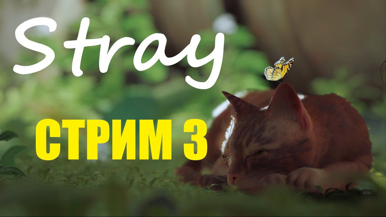 Stray прохождение  СТРИМ №3