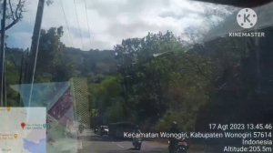 Tanaman Gamal  (Gliricidia sepium) di Sekeliling Waduk Gajah Mungkur Kab.Wonogiri, Jateng.