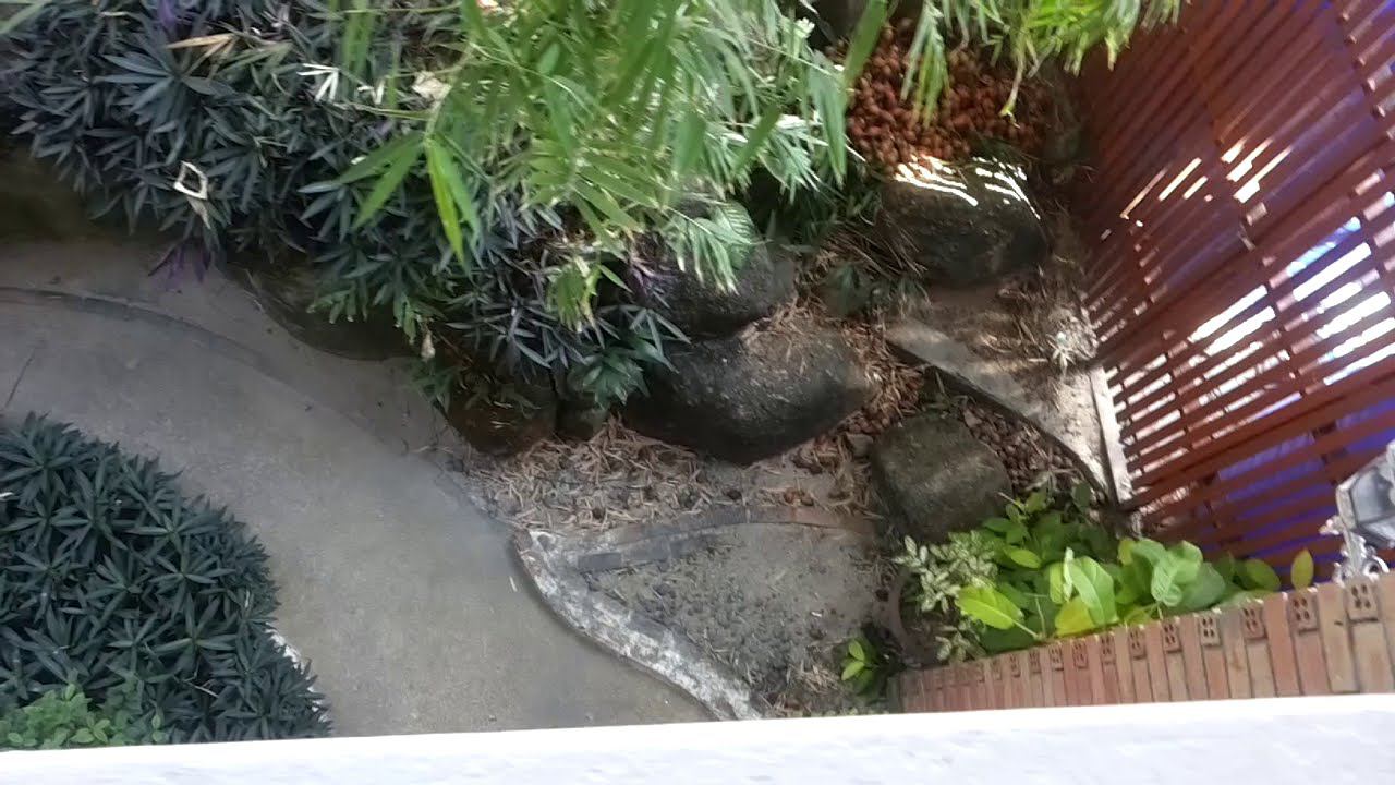 номер в отеле на о.Пхукет, Тайланд