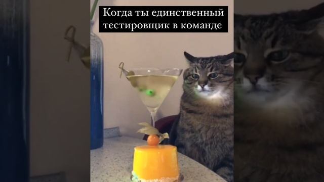 Правильно настроенные таймкоды №2