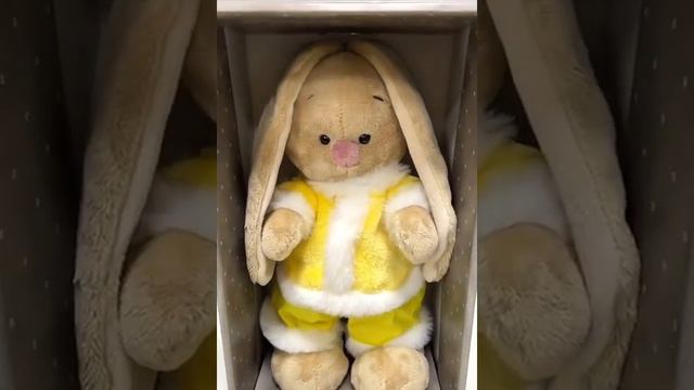 Зайка Ми в желтой шубке, Буди Баса