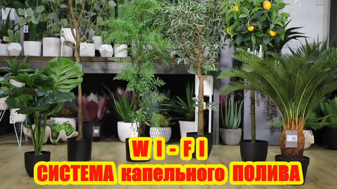 любителям ЦВЕТОВОДАМ