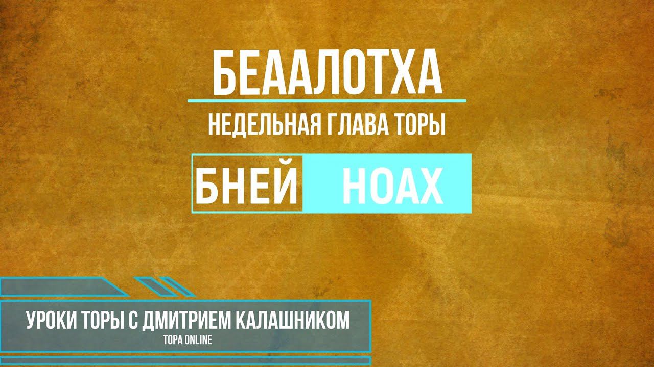 Недельная глава ТОРЫ "Беаалотха" (...когда будешь зажигать) , книга "Бемидбар" (Числа) 5780