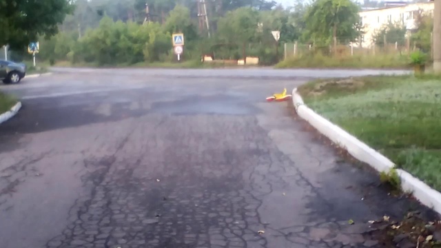 гидрошняга на асфальте