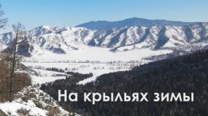На крыльях зимы