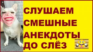 Анекдоты смешные до слёз! Пожилой мужик пришёл в бар! Прикольный юмор!