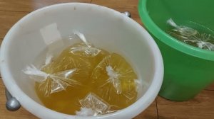 Самая лучшая подкормка для пчёл весной