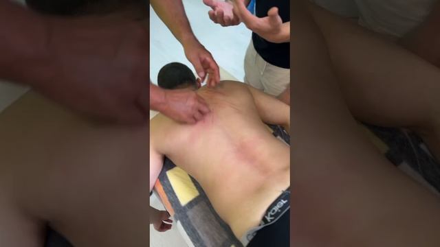 Константин Ралко
Семинар "Мягкие мануальные техники.Трасты"
