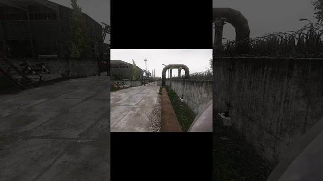 Escape From Tarkov [Сколько ты ему всадил.....]#shorts