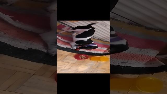 Федькина горка.mp4