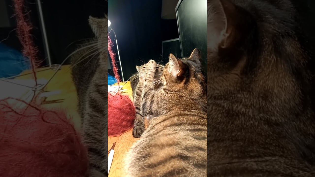 Сиди,температуру мерять будем!