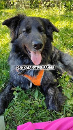 О, ну дааа, это Я - Райли ❤️