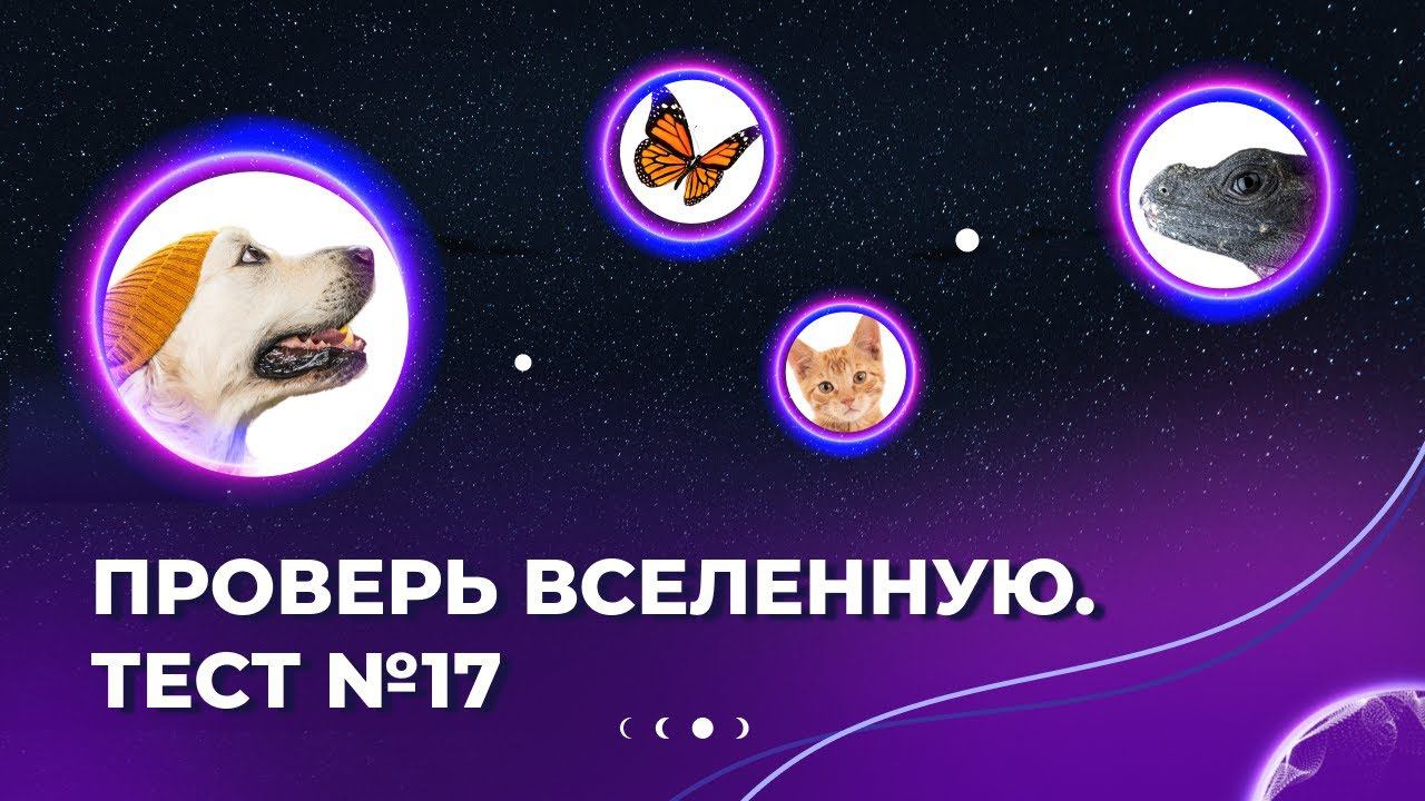 Тест №17: животные «по заказу». Случайность или сила мысли?
