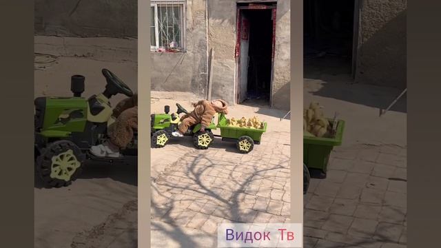 Ох уж эти дети?????