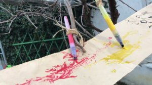 Виноградная лоза и ветер рисуют этикетки для вина
