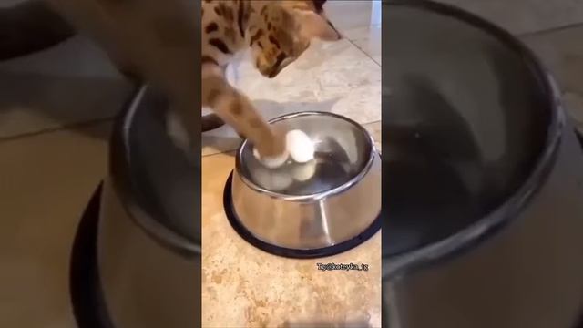 завтрак