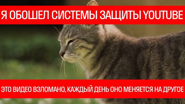 kriper2004 - Это видео меняется каждый день (02.12.22)