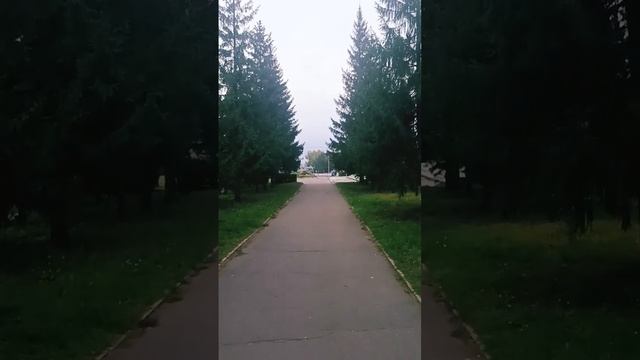 Walk in #Omsk #shorts