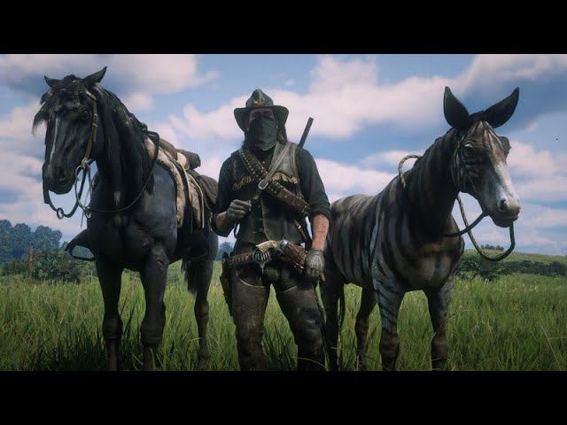 RED DEAD REDEMPTION 2 разливаем стреляем убегаем