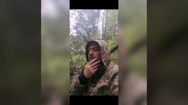 Лес / Кайф