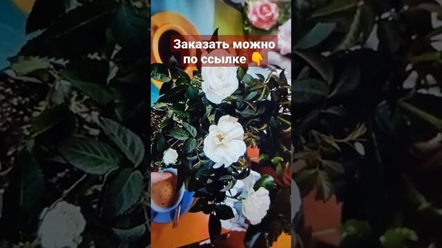 Карточка видео