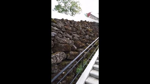 Петергоф ВМФ