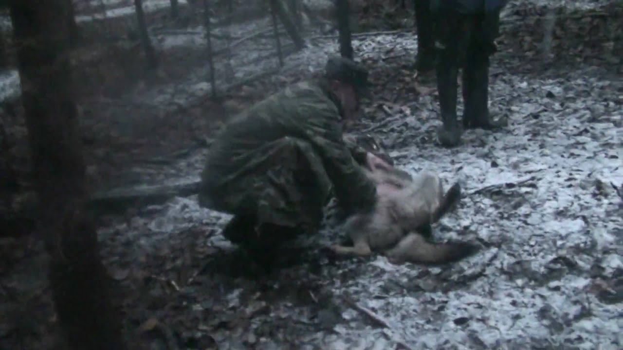 Осень 2008 вольер 15