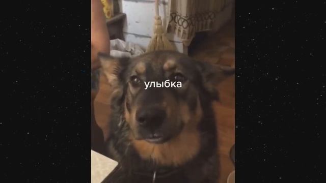 Я РЖАЛ ДО СЛЕЗ ? 30 МИНУТ ЛУЧШИХ РУССКИХ ПРИКОЛОВ 2021 ЗАСМЕЯЛСЯ ПОДПИСАЛСЯ лют.mp4