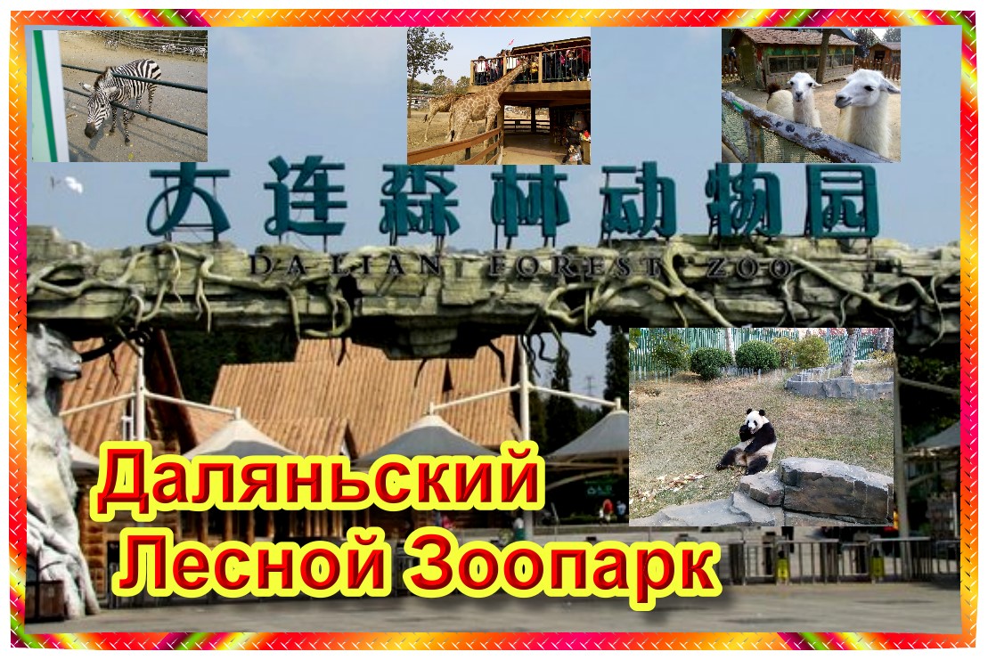 Даляньский лесной зоопарк.mp4