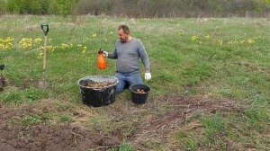 Посадка картошки под лапату