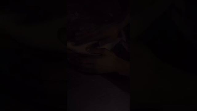 Рилс