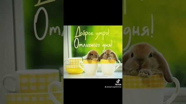 Классной субботы хороших выходных.mp4