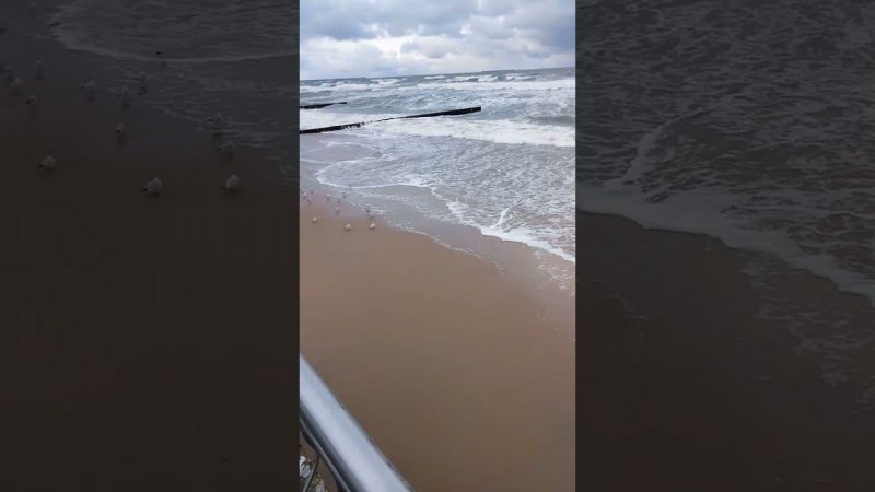БАЛТИЙСКОЕ МОРЕ В ДЕКАБРЕ 5