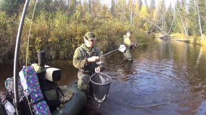 Попали на раздачу ХАРИУСА!!! #Республикакоми/Fischen auf Äsche/Fishing for grayling