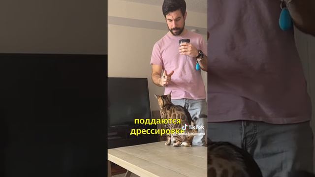 22 февраля 2024 г.