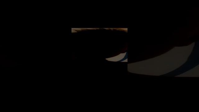 Бикбост 2_Zifity