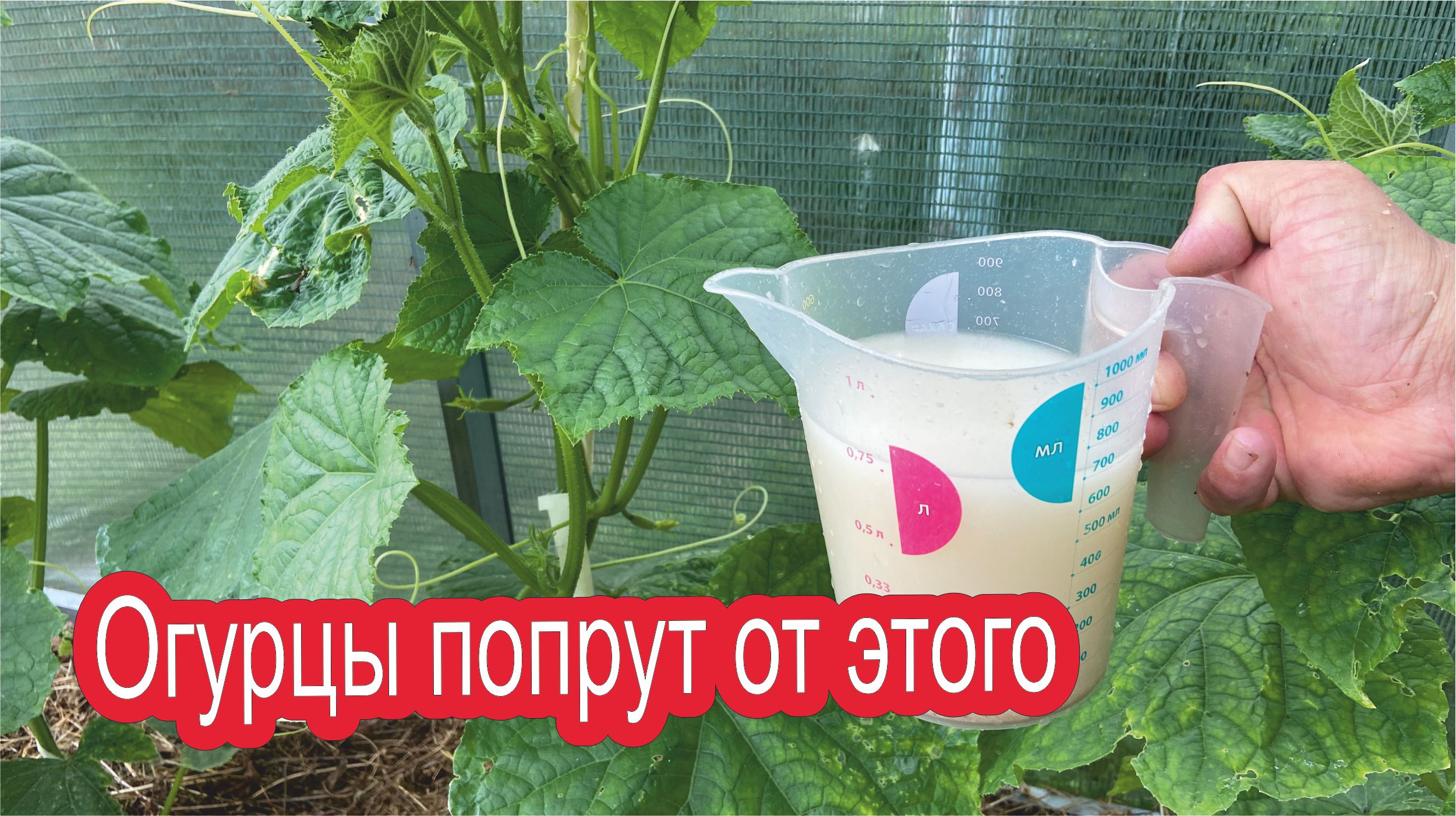 Только ни кому не рассказывай про эту Подкормку