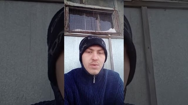 Мыслительные процессы