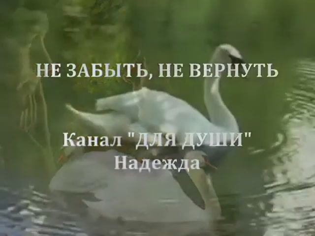 Не забыть , не вернуть  - поёт ЮРИЙ СТАРЦЕВ (стихи Надежды Шубиной)