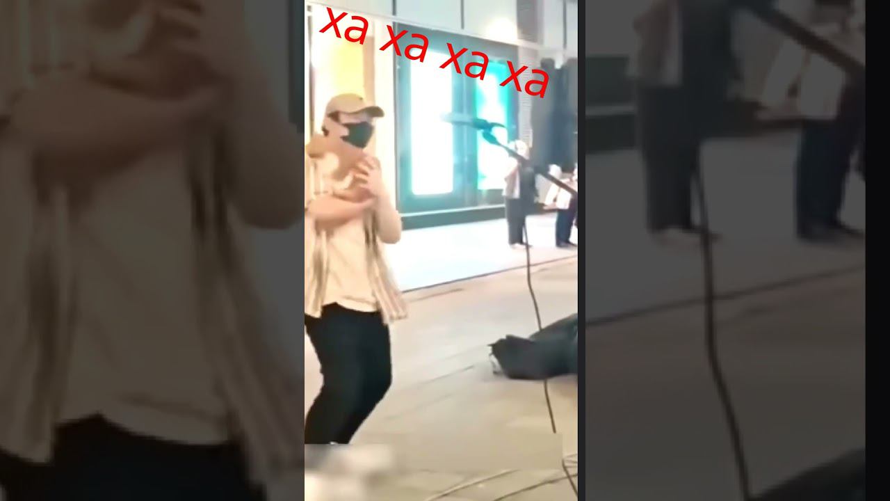 Приколы с котами!