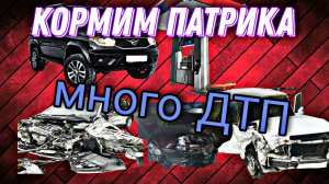 кормим Патрика,много ДТП.