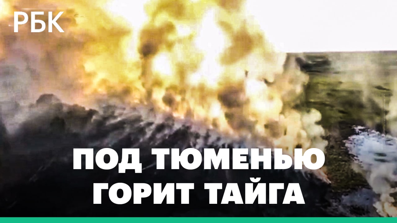 На окраине Тюмени заполыхал лес. Видео с воздуха