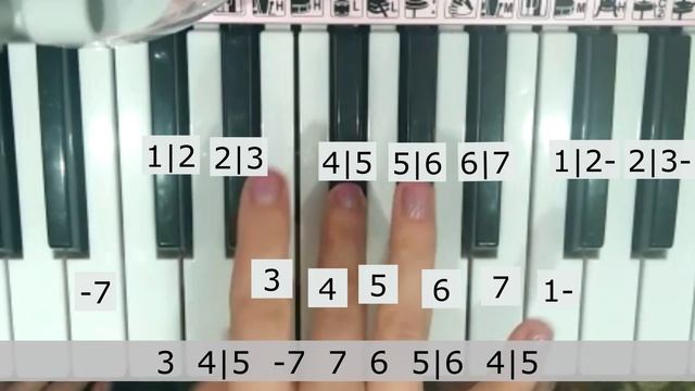 My heart will go on по номерам