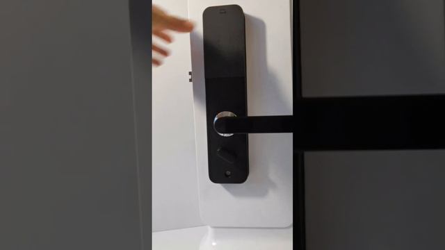 3. Сборка электронных замков с приложением TTLock на входных дверях