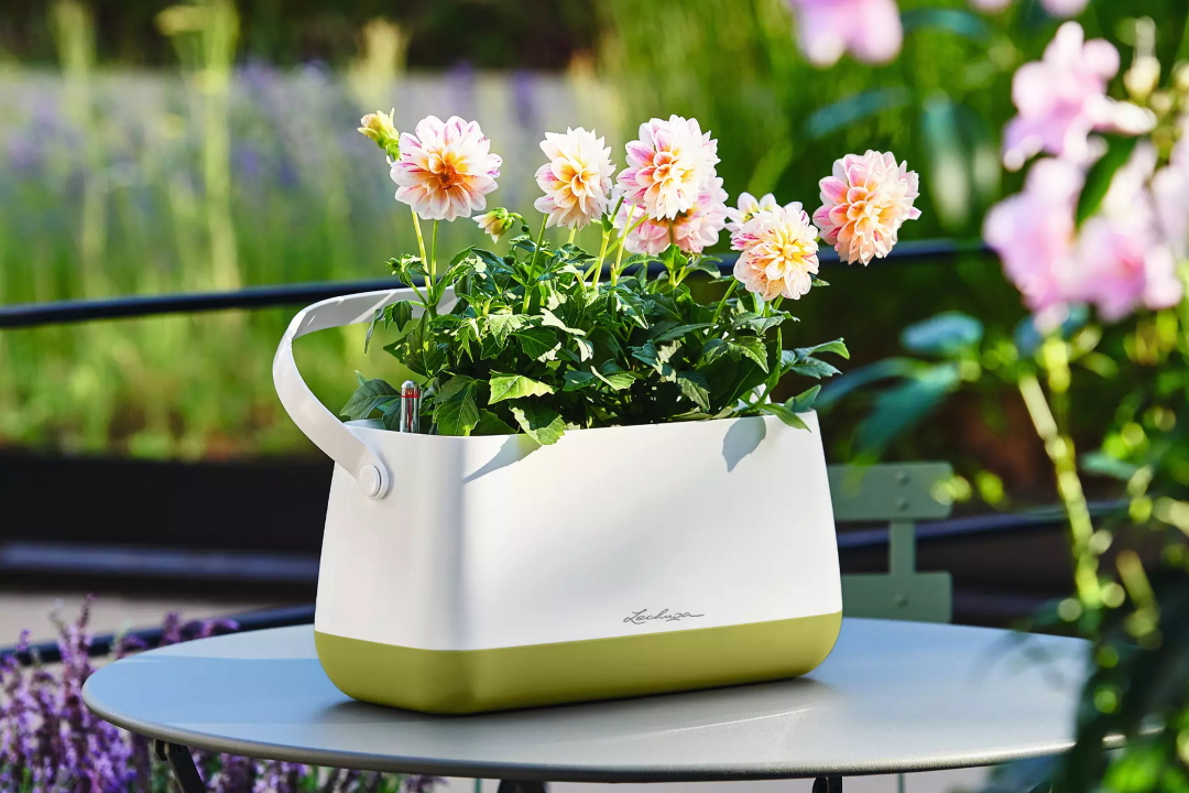 Кашпо для цветов ? LECHUZA YULA Plant Bag с автополивом ? #lechuzamoscow #автополив