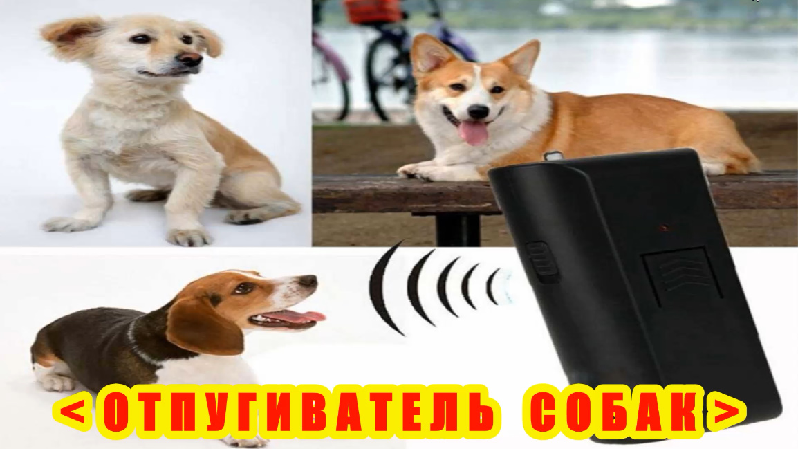 защити РЕБЁНКА защитись САМ