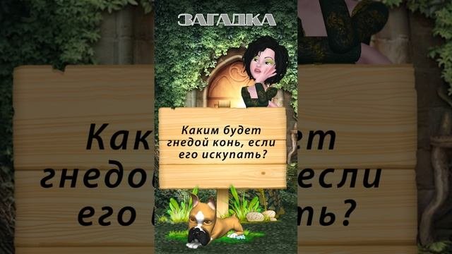Загадка 1010.mp4