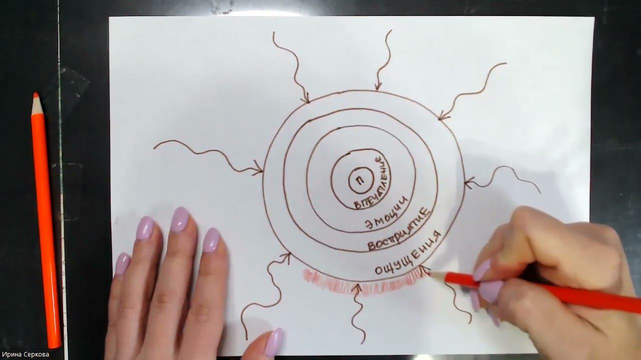 Как формируется впечатление. Схема